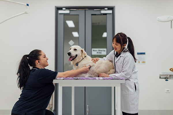 Careers in veterinary sciences