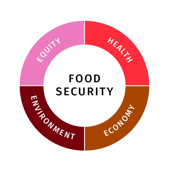 A food systems approach